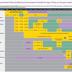 2025 CDC Immunization Schedules